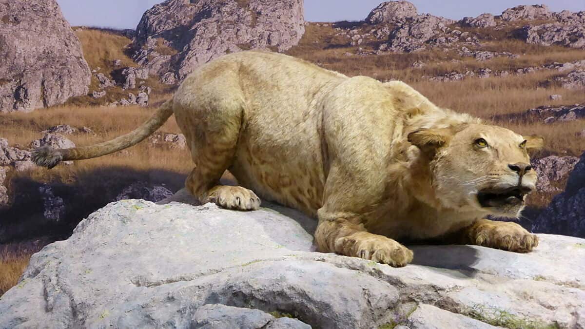 20 Extinct Giants of Prehistoric Times