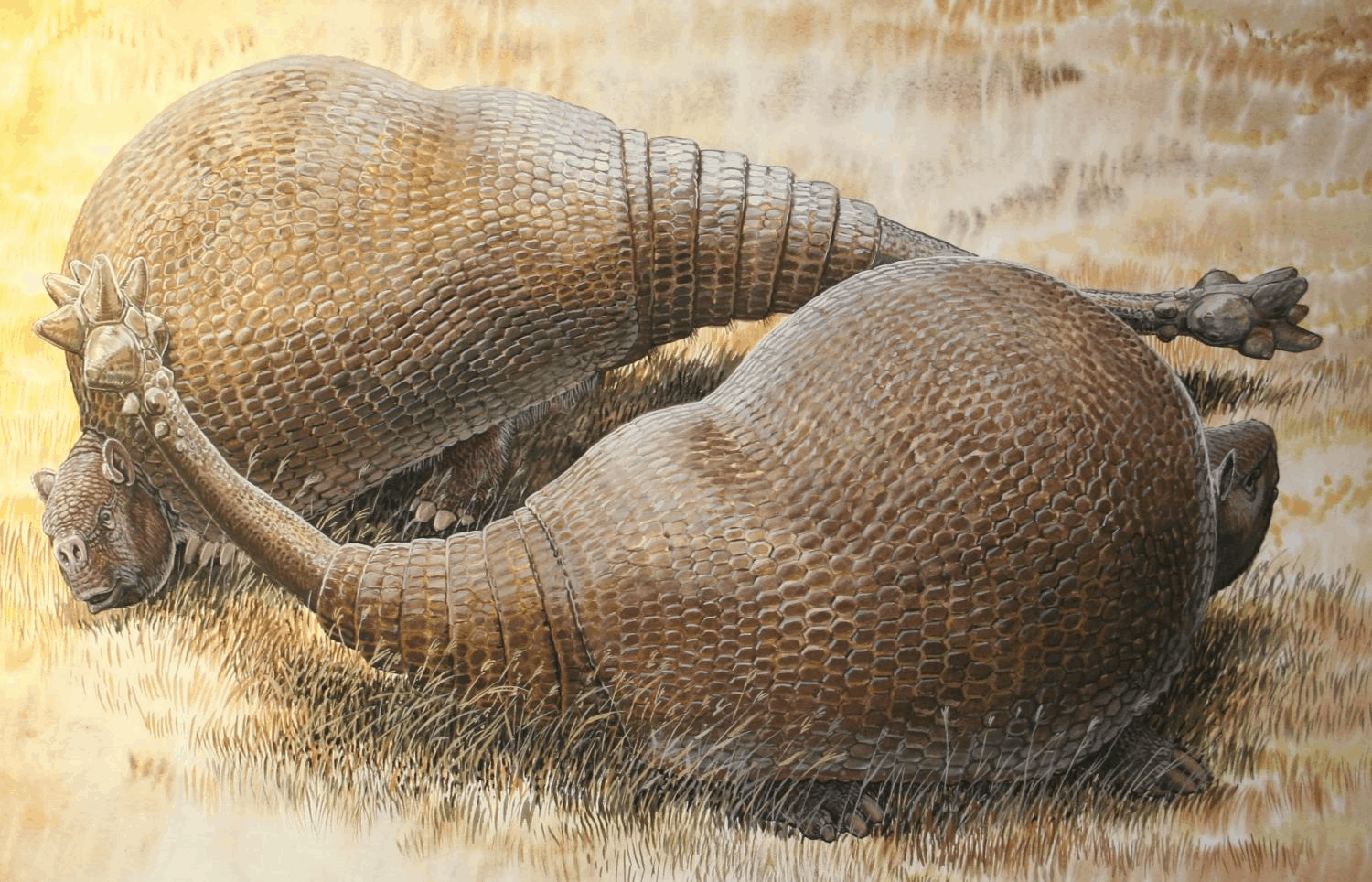 20 Extinct Giants of Prehistoric Times