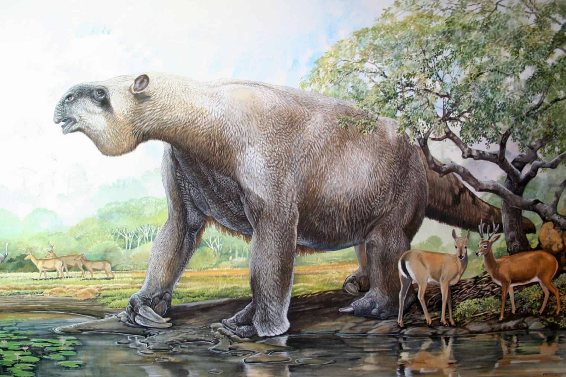20 Extinct Giants of Prehistoric Times