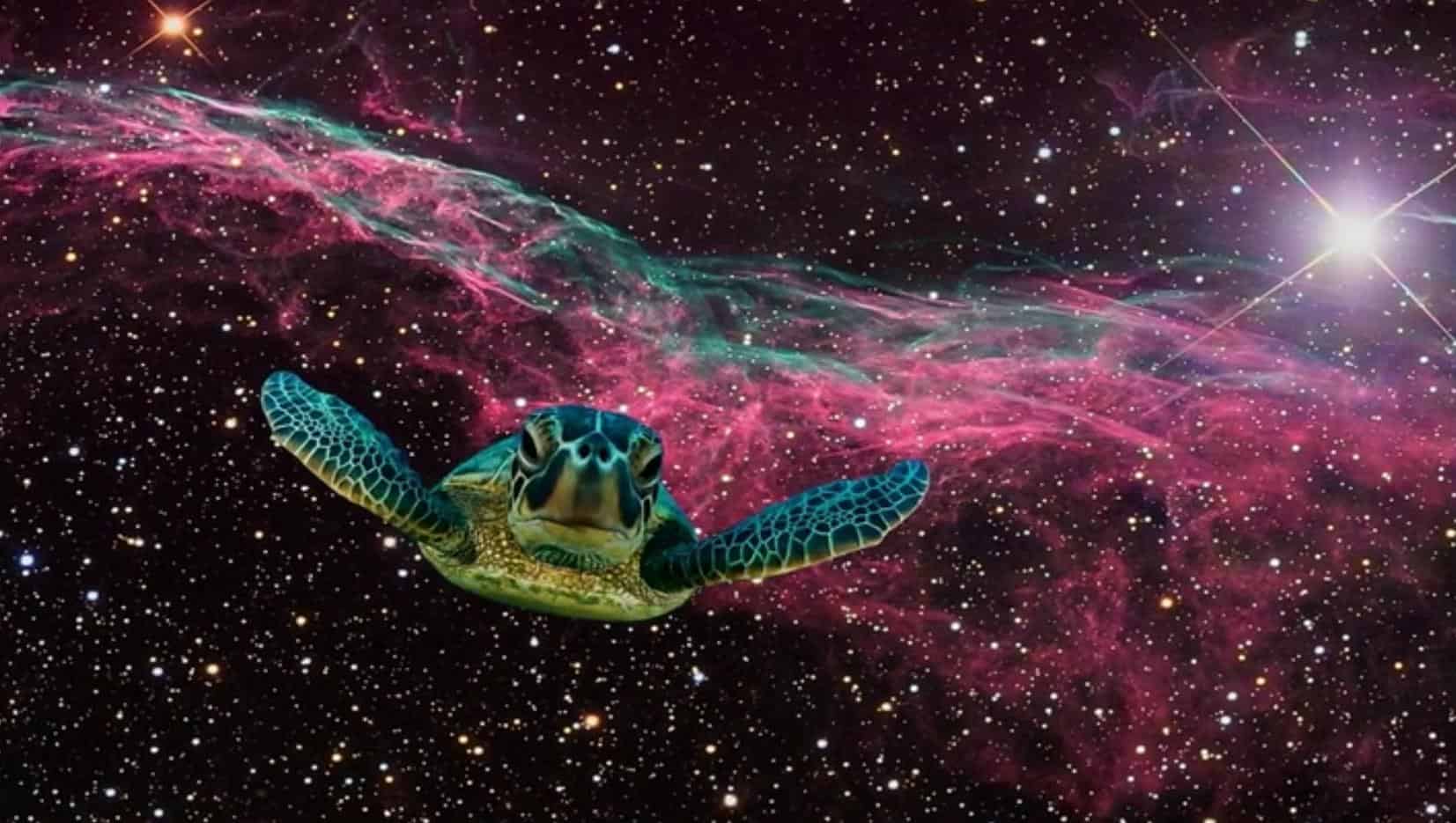 42 Random Objects Launched into Space