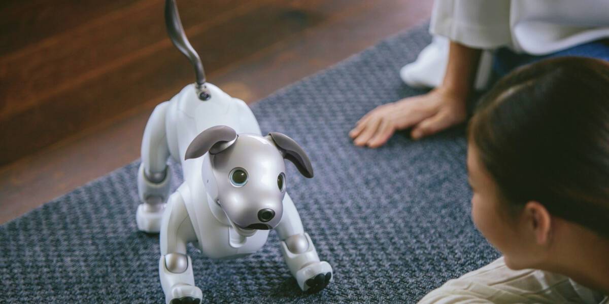 35 Undisputed Facts About Artificial Intelligence That You'll Have To ...