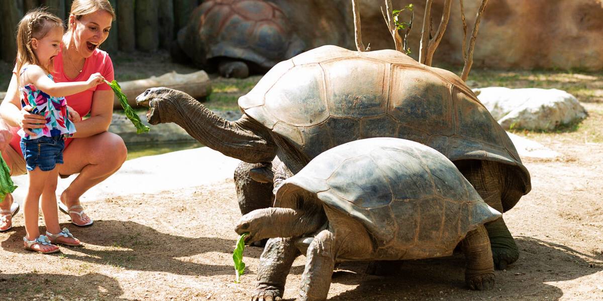 40 Animal Species that Outlive the Rest