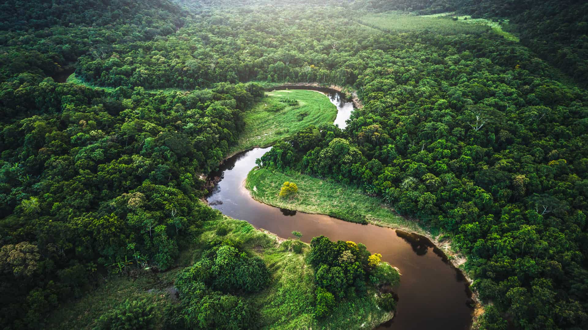 Hidden Secrets Of The Amazon Rainforest – Science Sensei