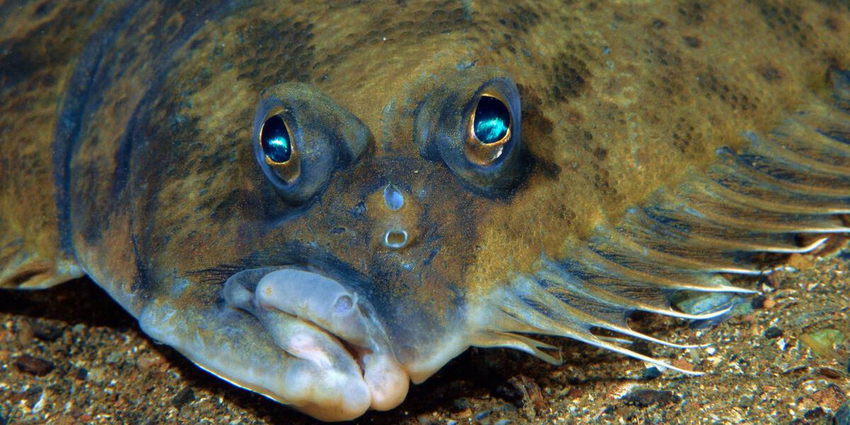 35 Ways Evolution Is Proven All Around Us