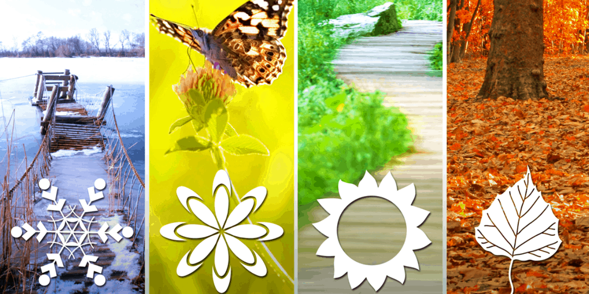 35 Things A Planet Requires To Prove It Can Sustain Human Life