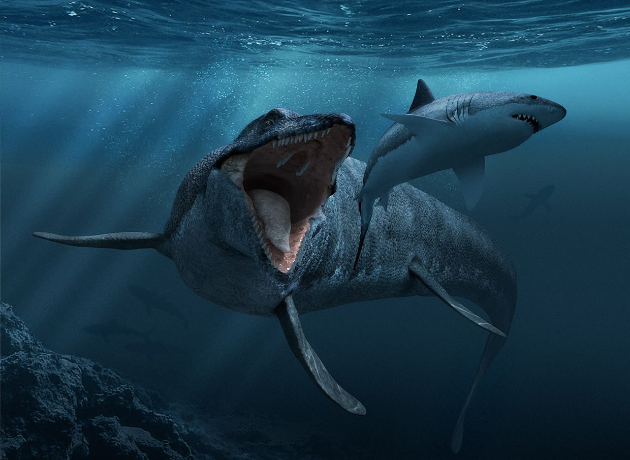 35 Nightmare Sea Monsters – Science Sensei