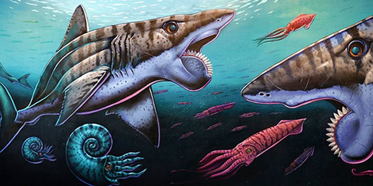 35 Nightmare Sea Monsters