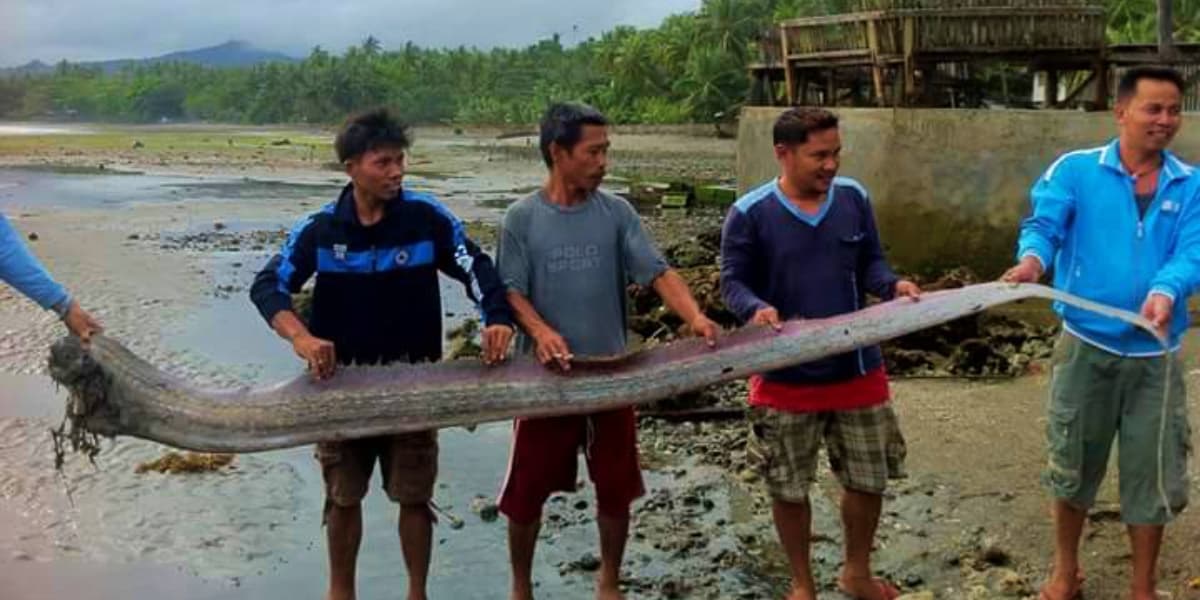 35 Nightmare Sea Monsters