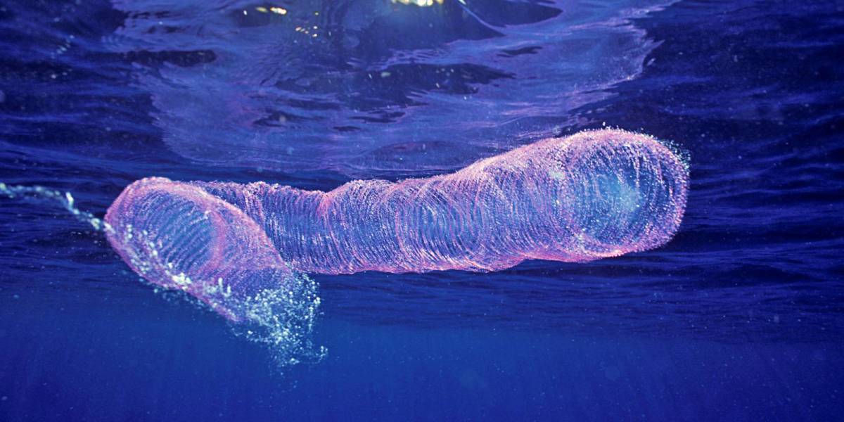 35 Nightmare Sea Monsters