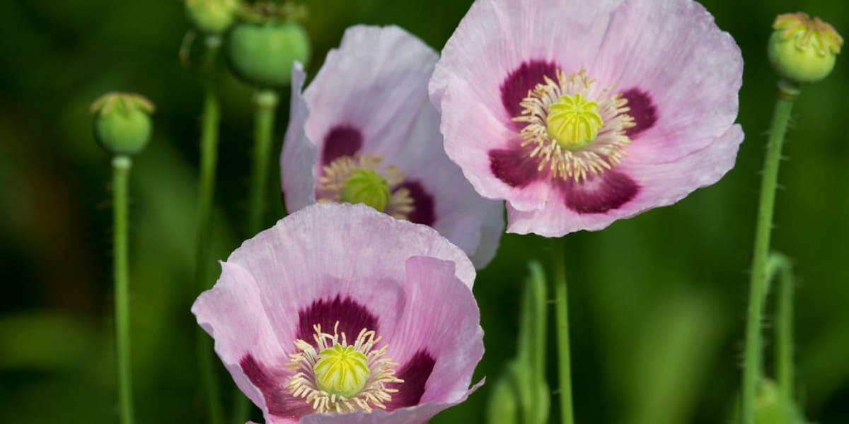 40 Ancient Greek Technology And Concepts Still Used Today