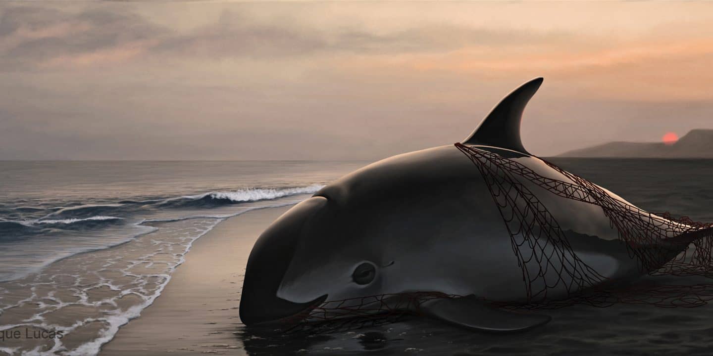 30 Animals Brought Back from the Brink of Extinction