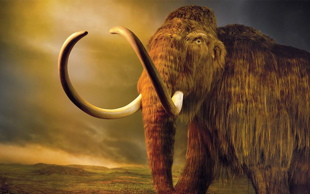02de-extinction1-superjumbo-1000x628.jpg