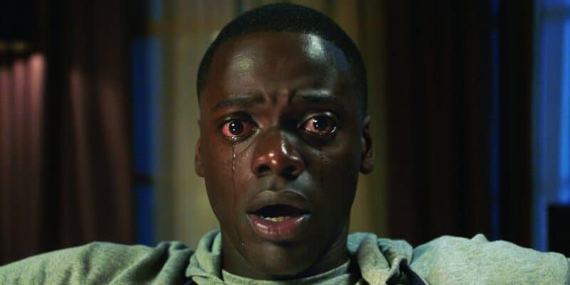 35 Hybrid Animal Species – Page 31 – Science Sensei