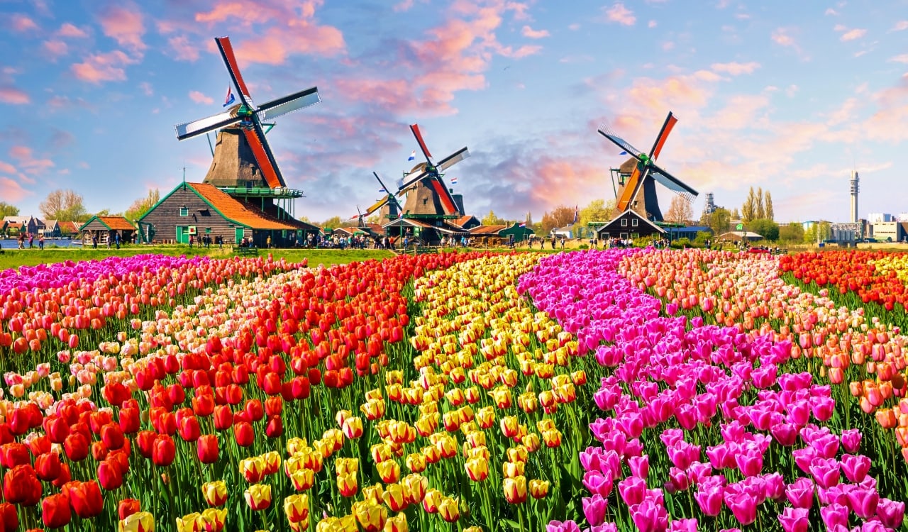 The Most Technologically Advanced Countries In The World the-most-technologically-advanced-countries-in-the-world