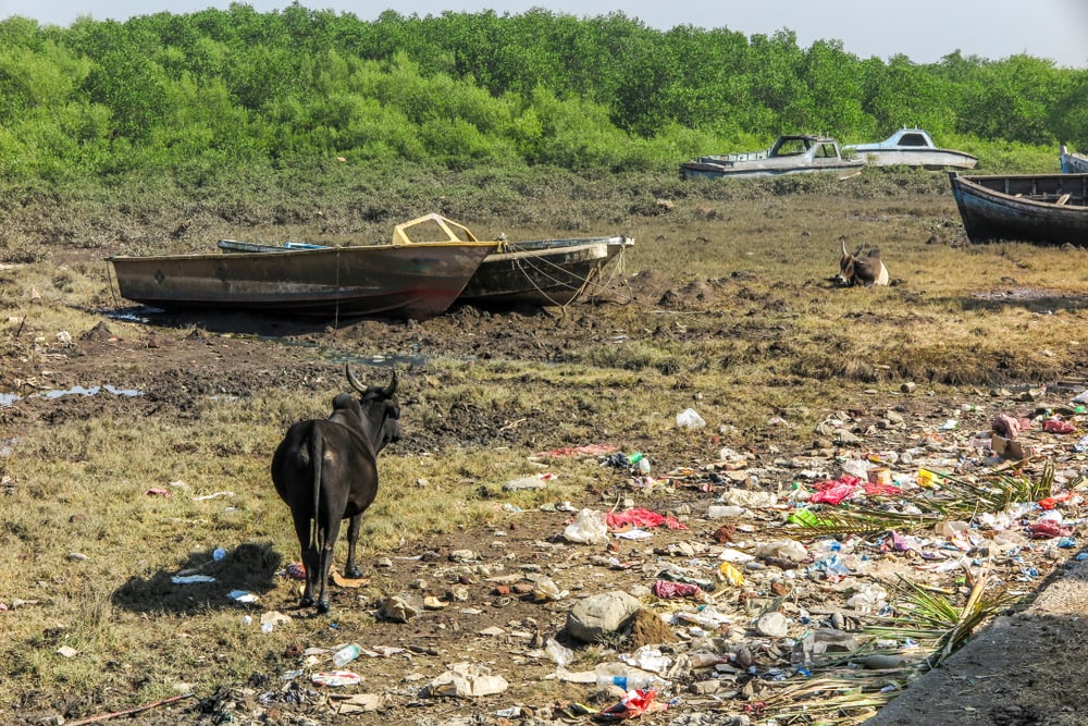 Shocking Photos that Prove Humans Destroy Everything They Touch – Page ...