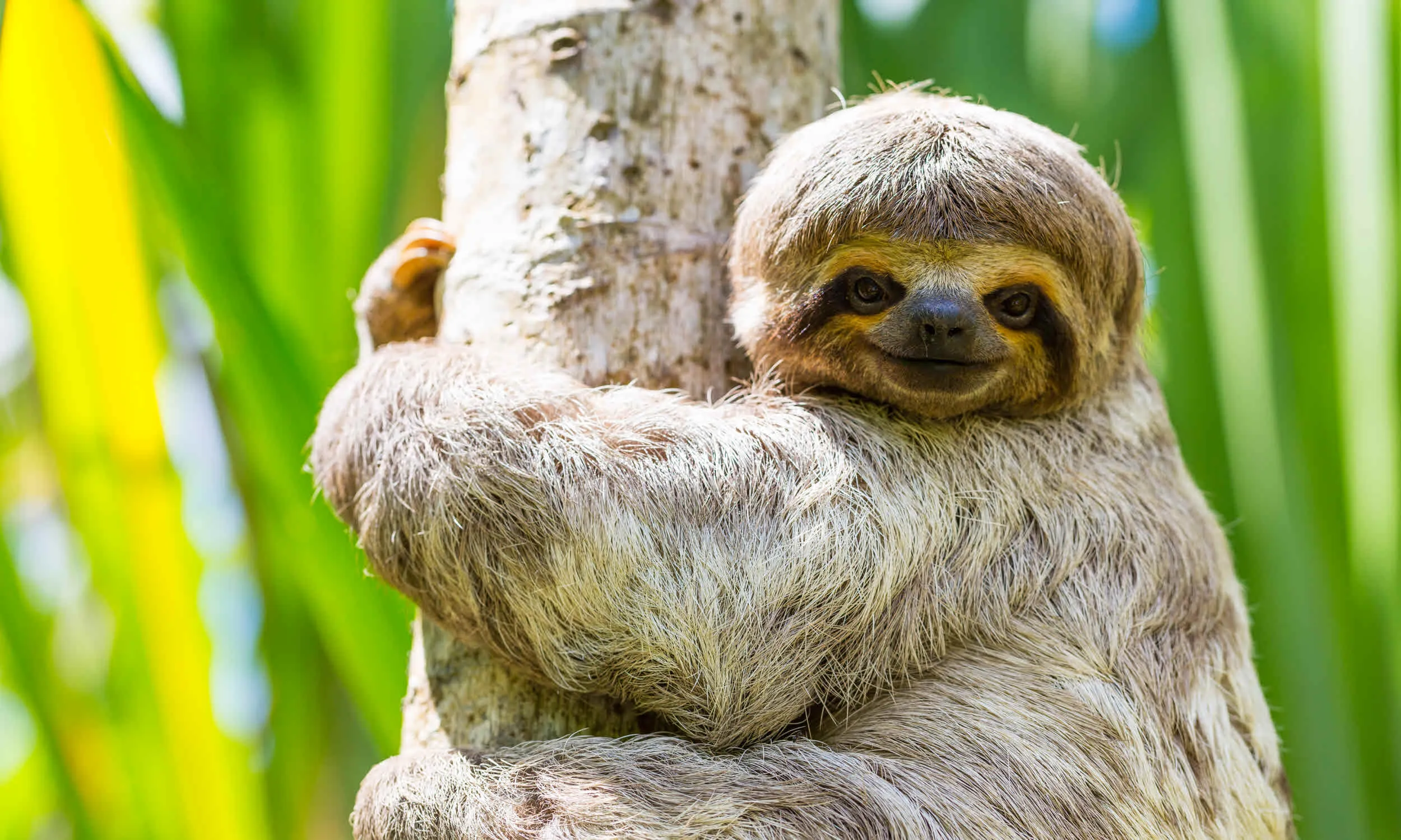 Tiny Paws and Fuzzy Faces: 40 Baby Animals That’ll Make Your Heart Skip ...