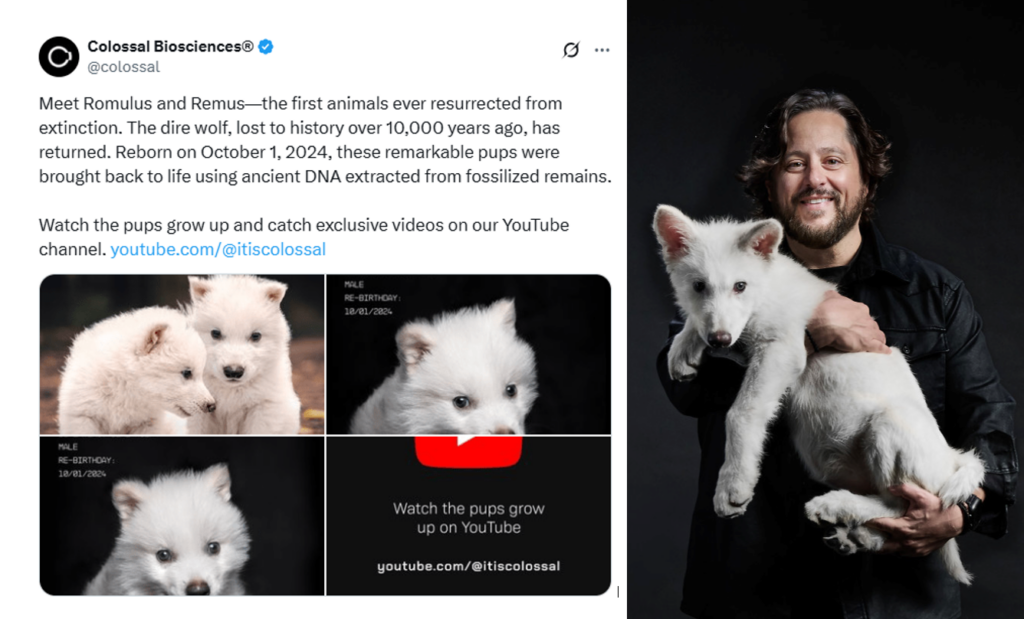 The Dire Wolf Was Just the Beginning: Scientists are Reviving These 30 Extinct Species Next ...