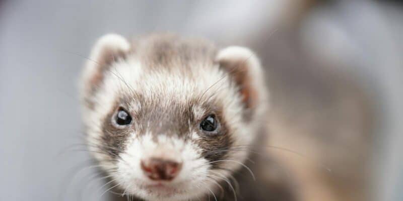 The Most Complex Machines Ever Built – Science Sensei