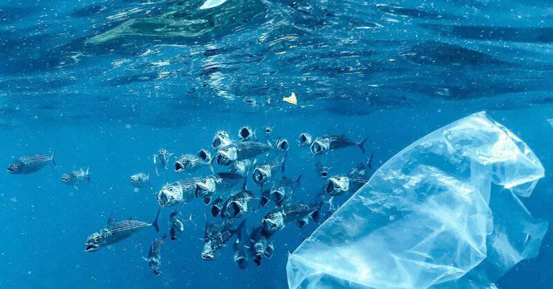 I'm a Marine Biologist—Here Are 28 Shocking Things I've Found in Ocean ...