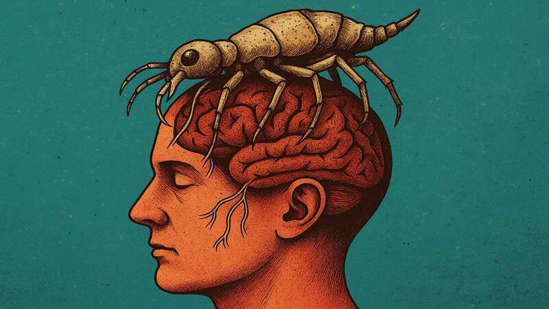 11 Parasitic Creatures That Can Control Their Host’s Mind – Science Sensei